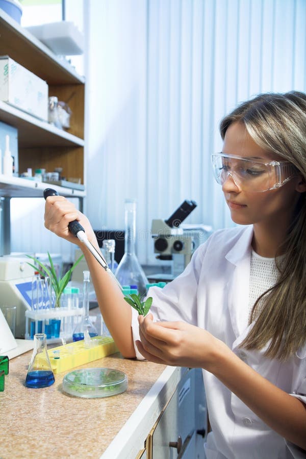 Prova di laboratorio immagine stock. Immagine di chimica - 21929231
