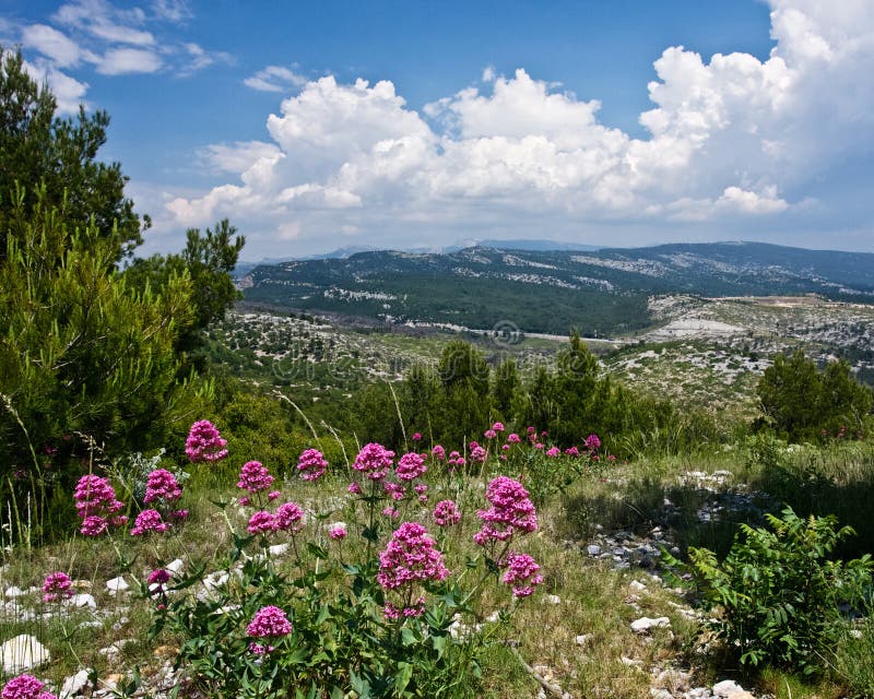 ProvenÃ§al Landscape stock image. Image of vacation, tour - 26771279