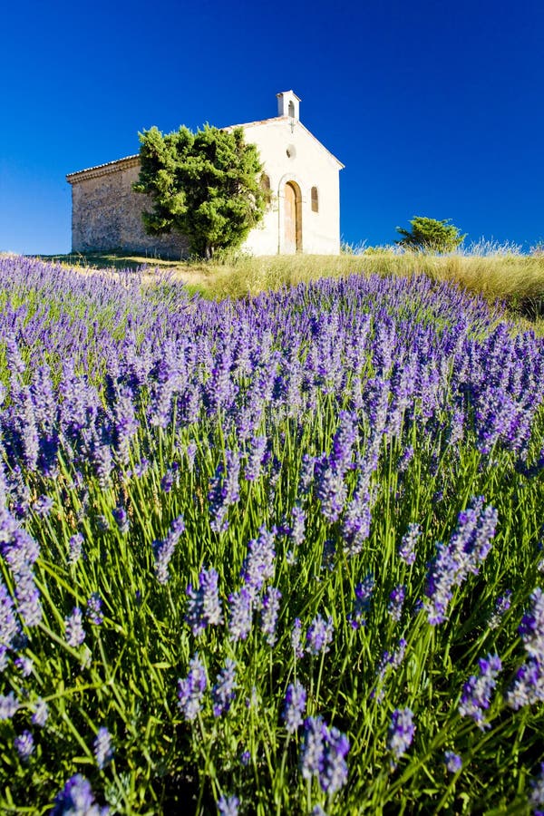 Provence stock photo. Image of lavender, architecture - 14687726
