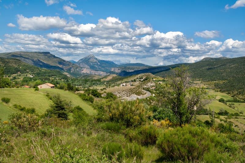 Provence - France stock photo. Image of harvest, grass - 16673528