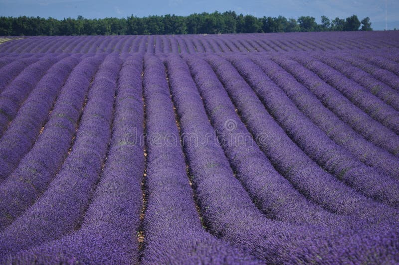 Manosque To Yon Stock Photos - Free & Royalty-Free Stock Photos from ...