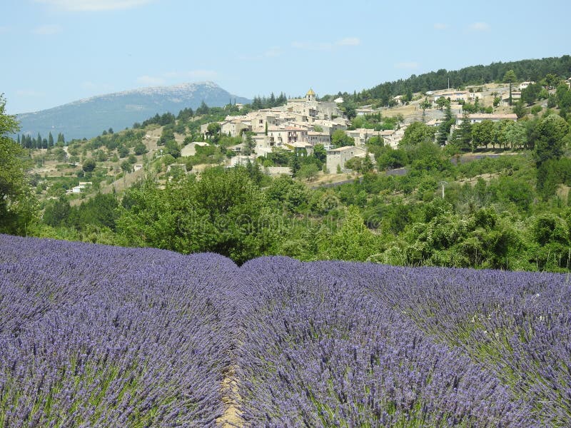 Provence Que Vive Con El Aroma De La Lavanda Foto de archivo - Imagen ...