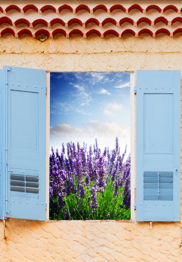 Provence Window with White Shutters and Ivy, Provence, France Stock ...