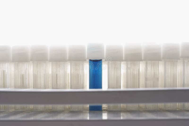 Provetta Blu Fra Le Provette Vuote Fotografia Stock - Immagine di ...