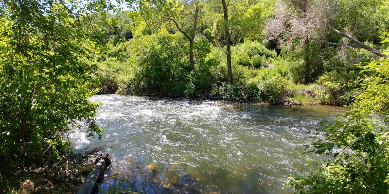 Provo river stock photo. Image of river, canyon, provo - 119511090