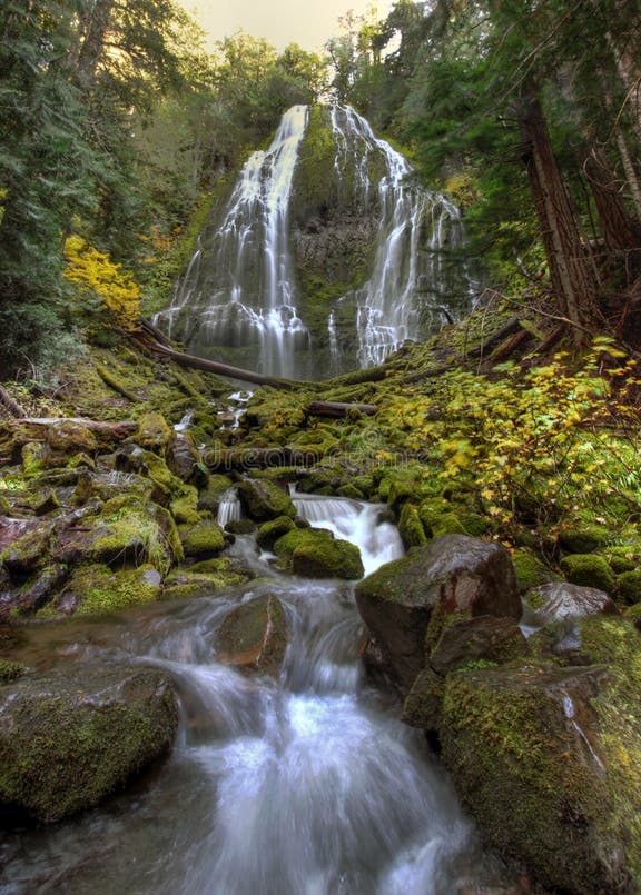 Proxy Falls stock photo. Image of proxy, trees, forest - 11924320