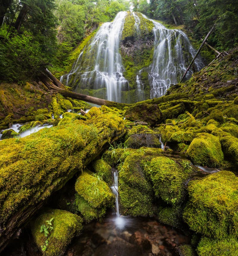 Proxy Falls in Oregon Rain Forest Stock Image - Image of proxy, river ...