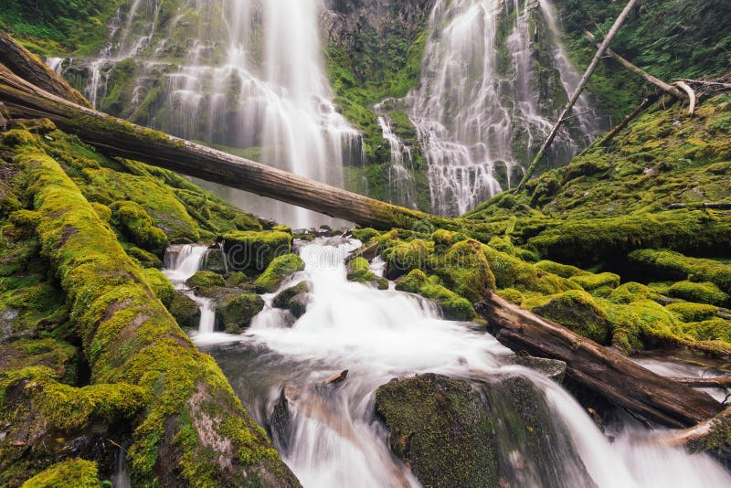 Proxy Falls stock photo. Image of landscape, climbing - 27481666