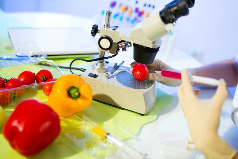 Prueba De La Comida En El Laboratorio Comida De La OGM Imagen de ...