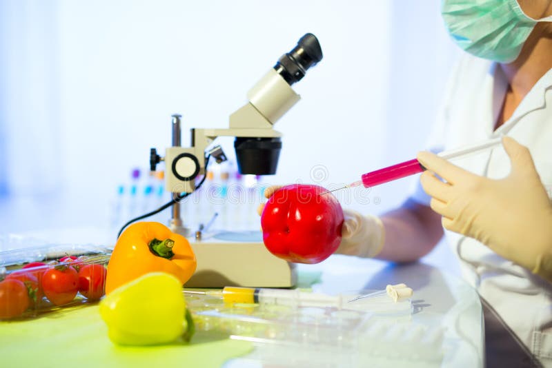 Prueba De La Comida En El Laboratorio Comida De La OGM Imagen de ...