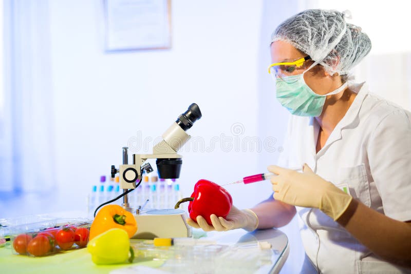 Prueba De La Comida En El Laboratorio Comida De La OGM Imagen de ...