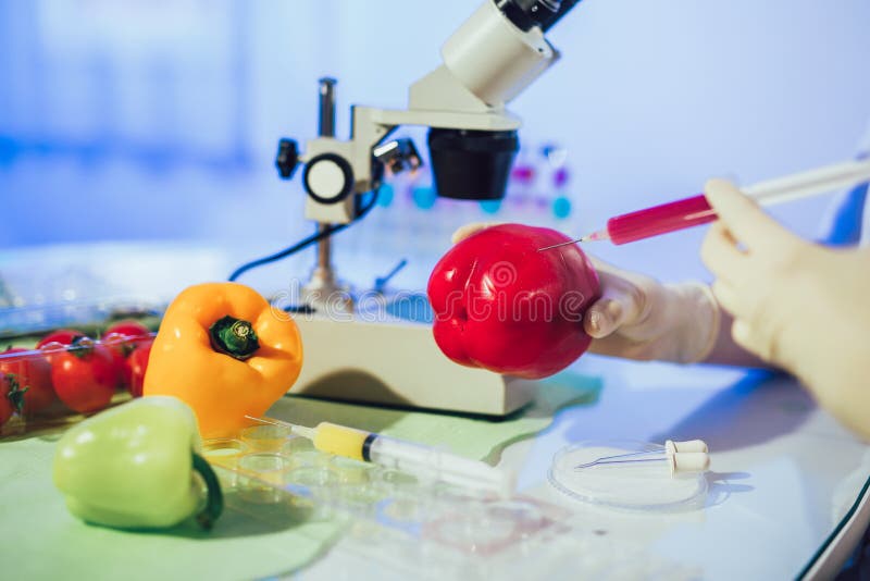 Prueba De La Comida En El Laboratorio Comida De La OGM Imagen de ...