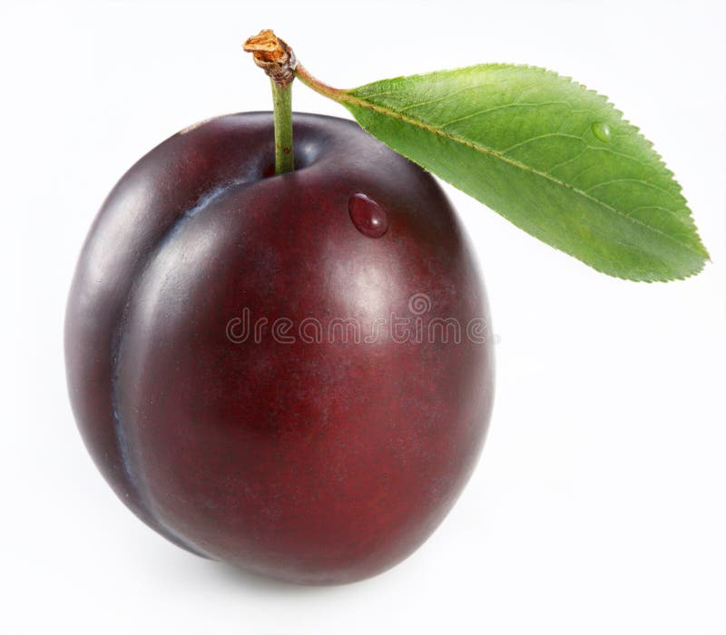Prugna fotografia stock. Immagine di fresco, taglio, frutta - 11162432