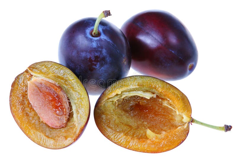 Prugna rossa immagine stock. Immagine di nutrizione, gourmet - 3106061