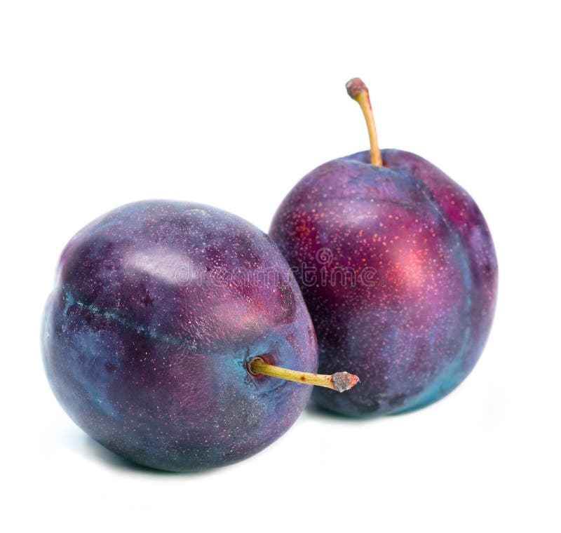 Prugna matura immagine stock. Immagine di frutta, viola - 23114265