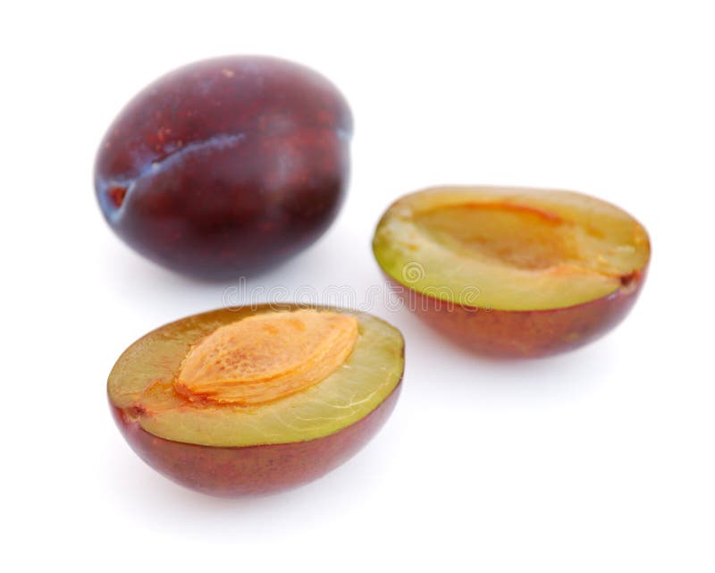 Pruim stock foto. Image of installatie, achtergrond, sluit - 16113456