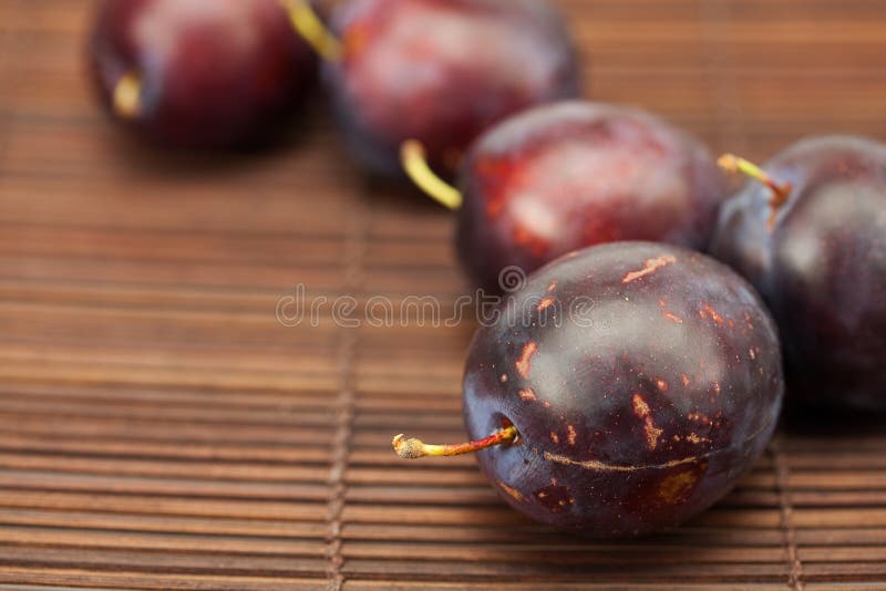 Pruim stock foto. Image of pruim, oogst, groen, eten - 18060232