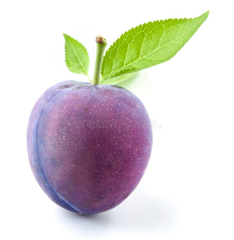 Pruim. Rijp Nat Fruit Met Blad Stock Afbeelding - Image of organisch ...