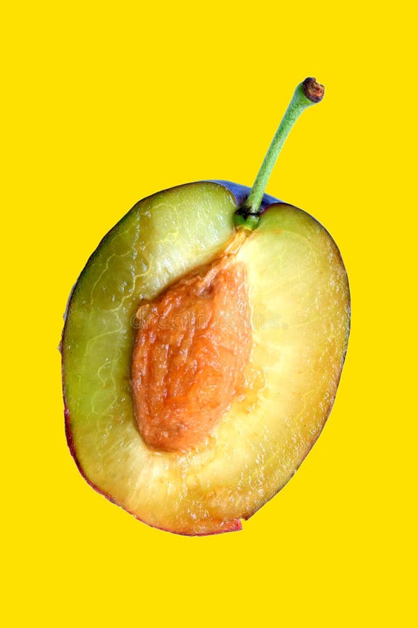 Pruim stock foto. Image of voedsel, nave, nagerecht, vitaminen - 5680566