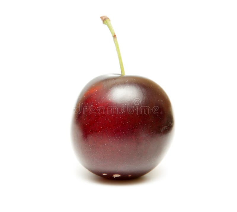 Pruim stock afbeelding. Image of rood, vers, pruim, purper - 61621475