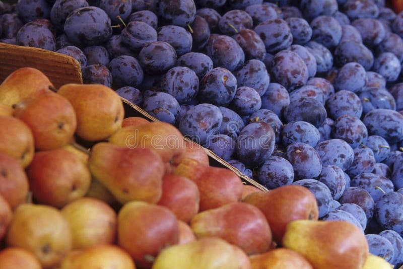 Pruimen en peren stock foto. Image of voedsel, vrucht - 4976416