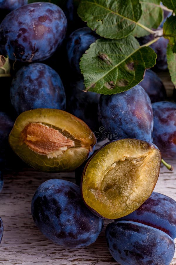 Pruimen stock afbeelding. Image of zomer, groen, organisch - 102322519