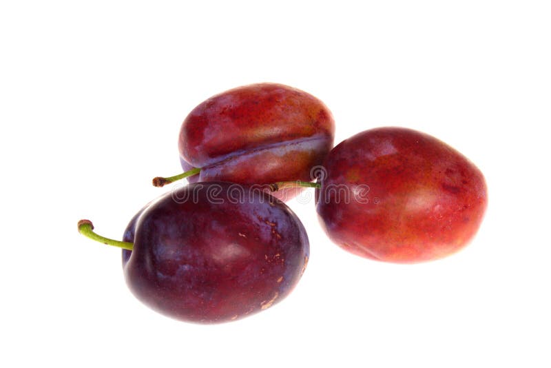 Pruimen stock afbeelding. Image of geïsoleerd, vers, gezond - 11997579