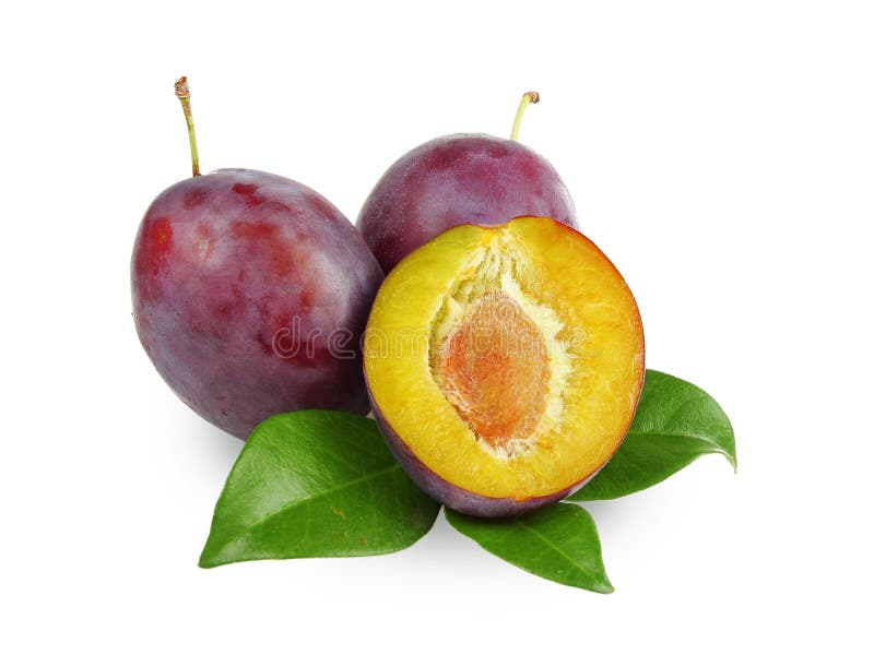 Pruimen stock afbeelding. Image of besnoeiing, half, sluit - 21005227