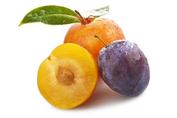 Pruimen stock foto. Image of pruim, snack, geel, vers - 21673428