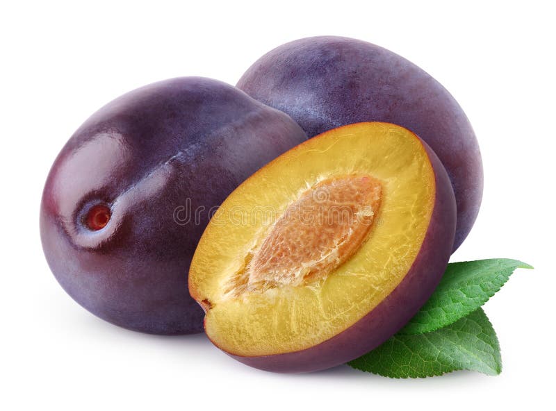 Pruimen stock foto. Image of pruim, drie, sectie, geïsoleerd - 26516284