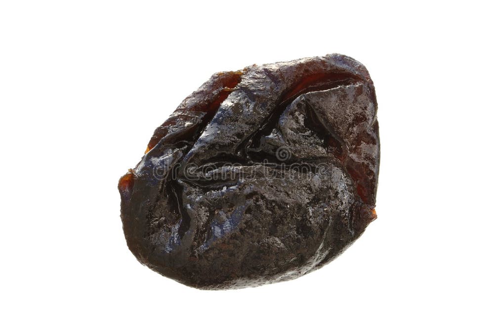 Prune stock image. Image of laxative, wrinkled, isolated - 23468505