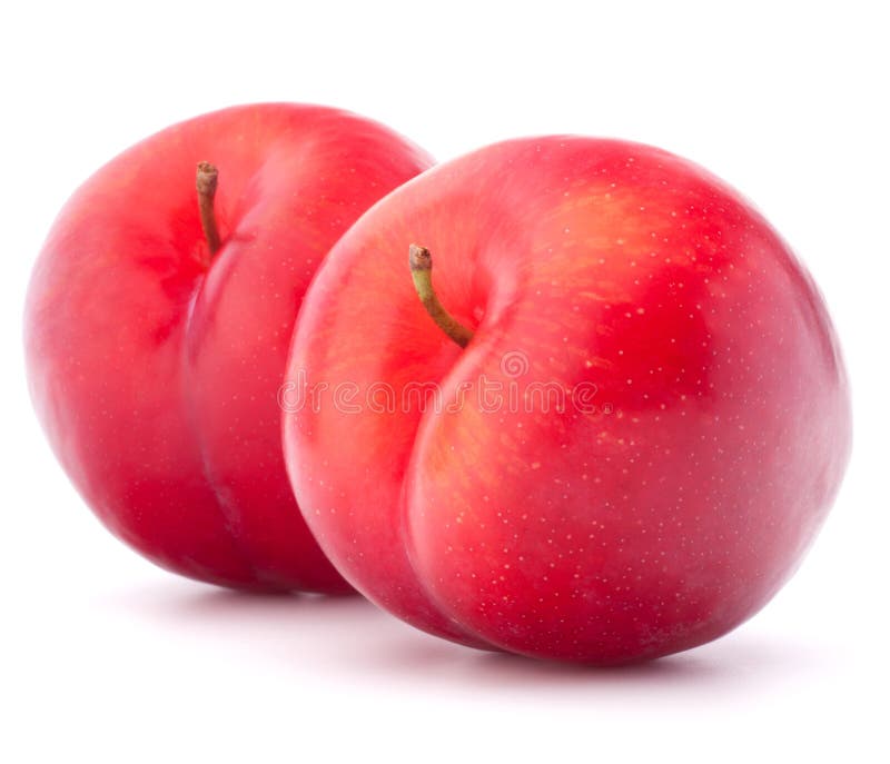 Prune Douce D'isolement Sur Le Coupe-circuit Blanc De Fond Image stock ...