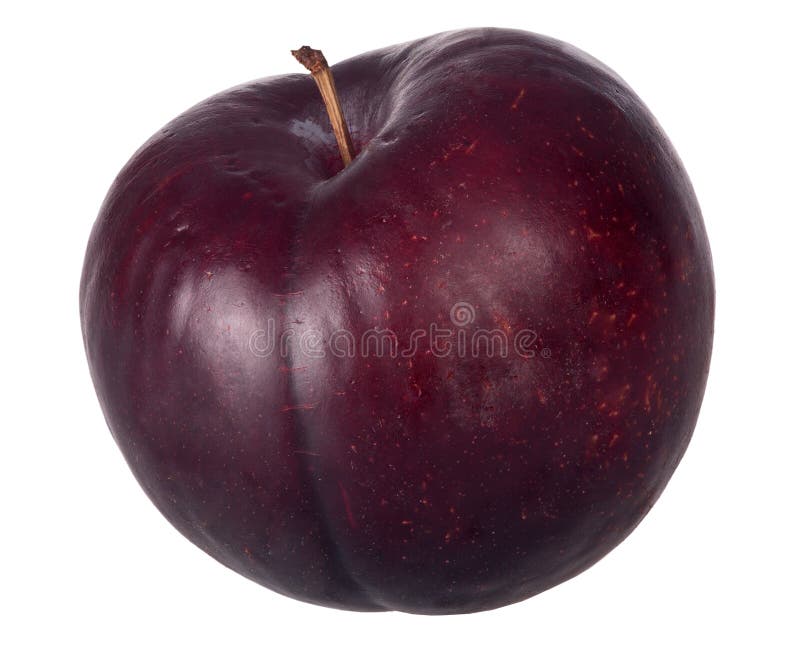 Prune Rouge D'isolement Sur Le Fond Blanc Photo stock - Image du ...