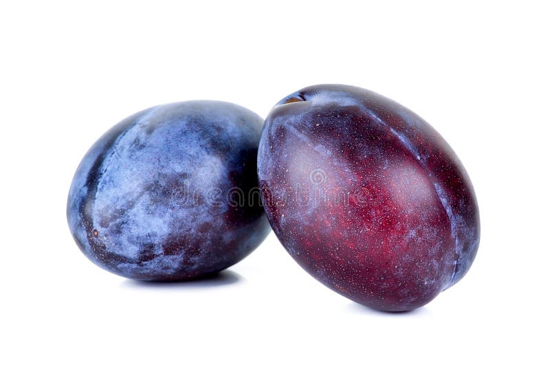 Prune isolated on white stock image. Image of diet, juice - 6623163