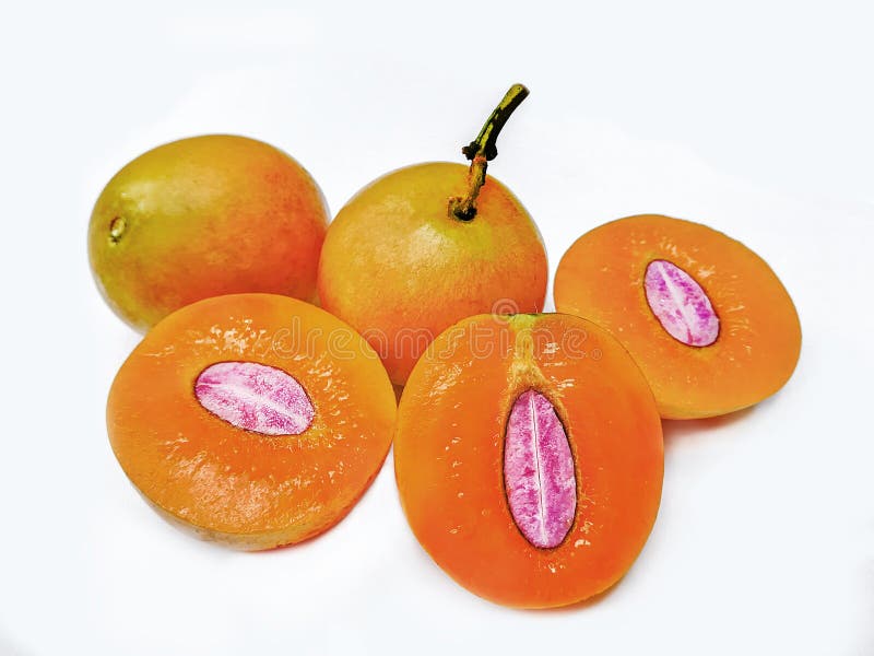 Prune Ou Fruit Mariale Douce De Maprang Photo stock - Image du exotique ...