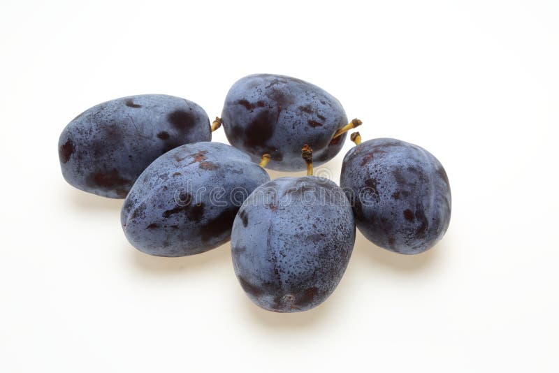 Prune stock image. Image of dessert, shot, ingredient - 59047409