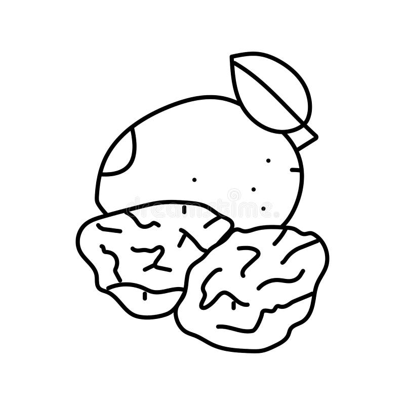 Prune Plum Line Icon Vector Illustration Stock Vector - Illustration of ... Prune Plum Line Icon Vector Illustration Stock Vector - Illustration of ...