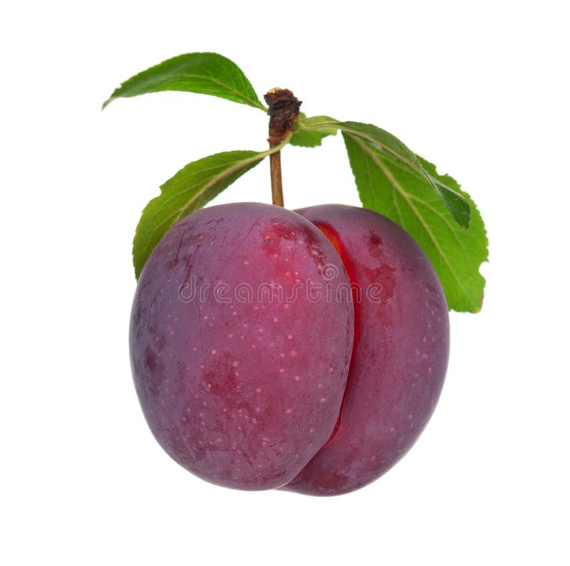 Prune rouge image stock. Image du nature, régime, objet - 40032461