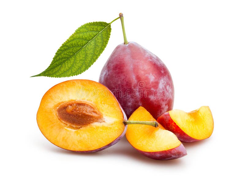 Prune rouge image stock. Image du groupe, coupure, aliment - 59731761