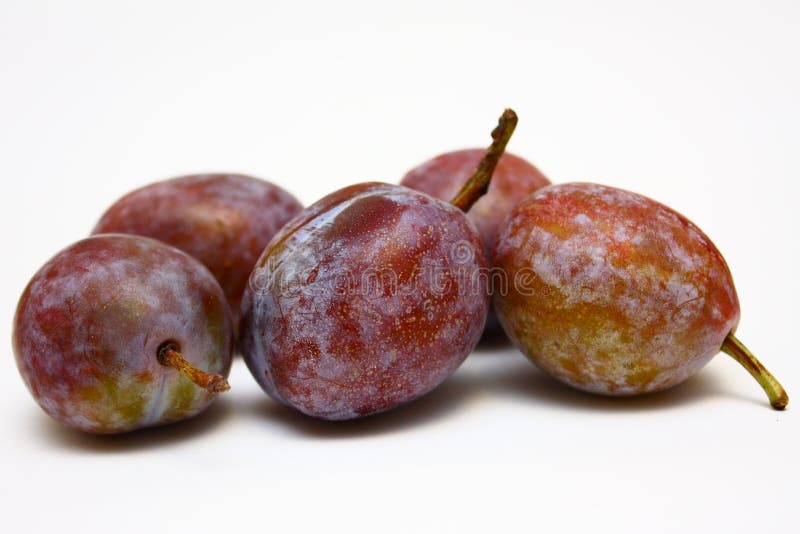 Pruneau photo stock. Image du fond, pruneau, blanc, frais - 27041466