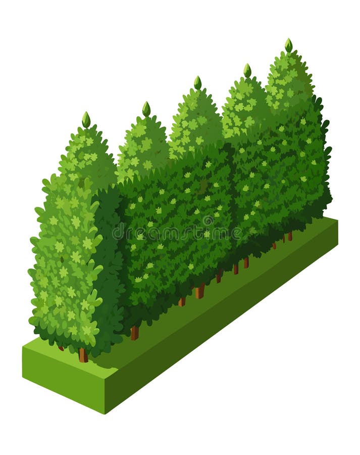 Pruned hedges-016 stock vector. Illustration of digital - 322407938