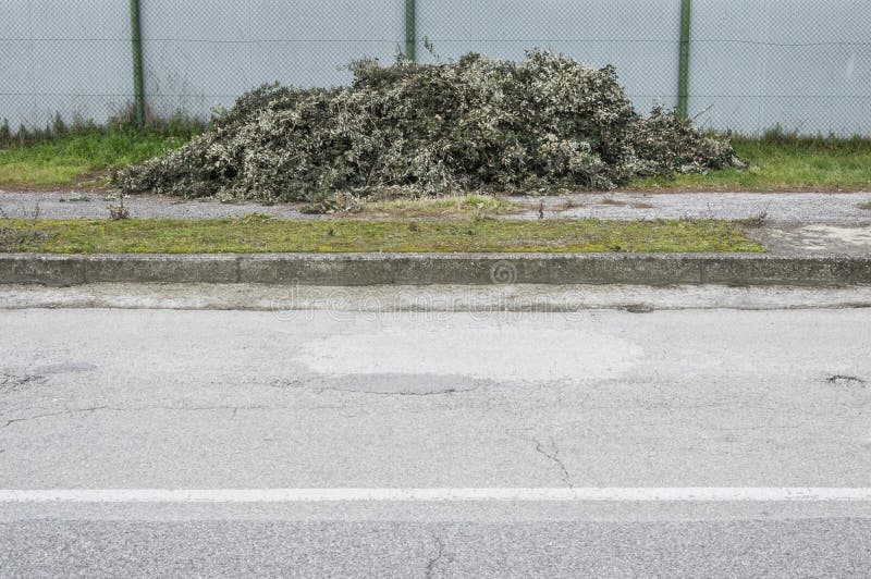 Pruned piled leaves stock image. Image of wood, material - 88838697