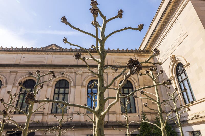 Pruned Tree Branches with Knotted Ends Near Historic Building Facade ...