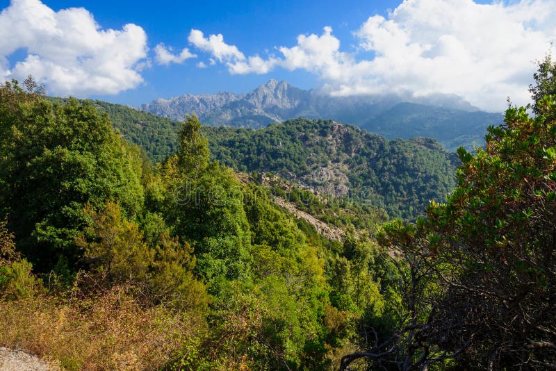 Prunelli Gorge stock photo. Image of french, view, cloud - 46652660