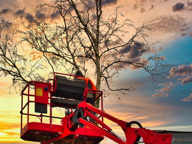 Tree Trimming Cherry Picker Stock Photos - Free & Royalty-Free Stock ...