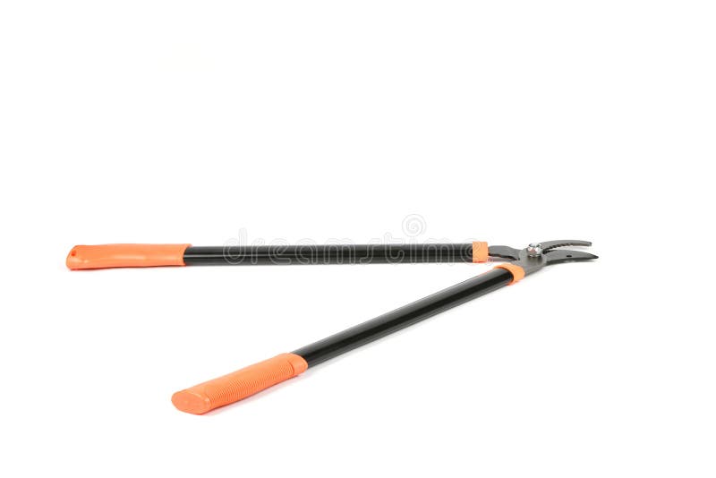 Pruner for Pruning Large Branches, Twigs and Knots. Garden Tools Stock ...