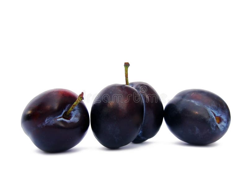 Prunes stock photo. Image of berries, nature, nutritious - 19468930