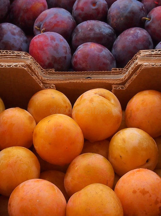Prunes rouges image stock. Image du life, vitamins, still - 8448615