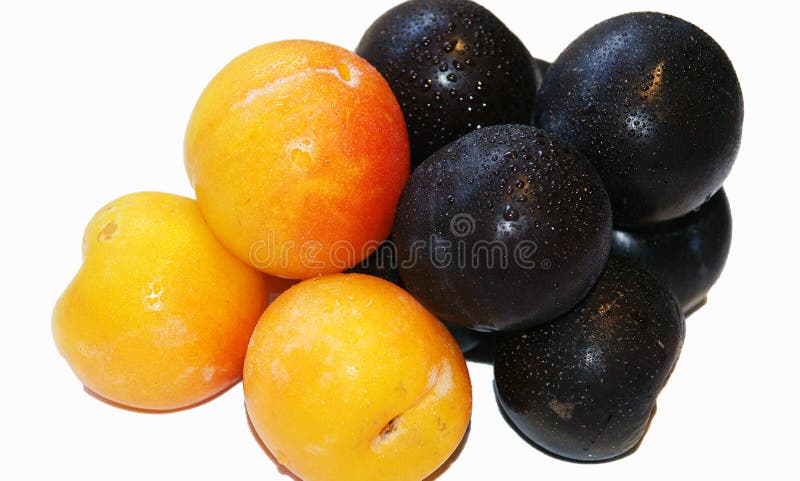 Prunes Noires Et Blanches Sur Fond Blanc Et Texte Photo stock - Image ...