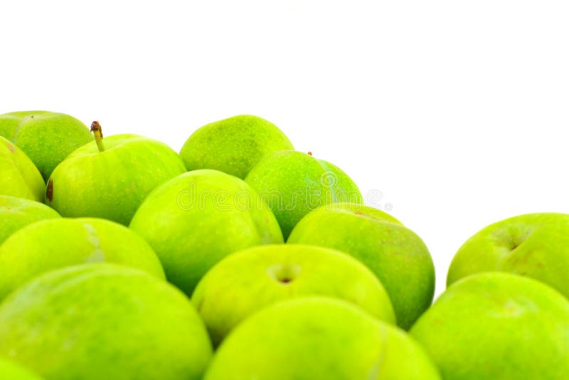 Prune verte photo stock. Image of frais, groupe, vert - 33856210